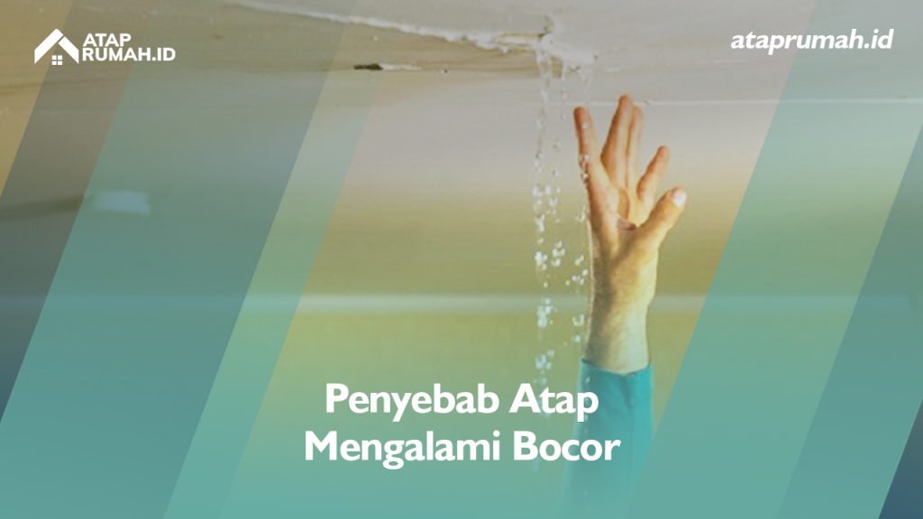 Kenapa Atap Bocor? Ini Penyebab dan Solusinya - Atap Rumah